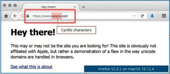 Punycode Phishing - How to Prevent Attacks – Wolf & Company, P.C.